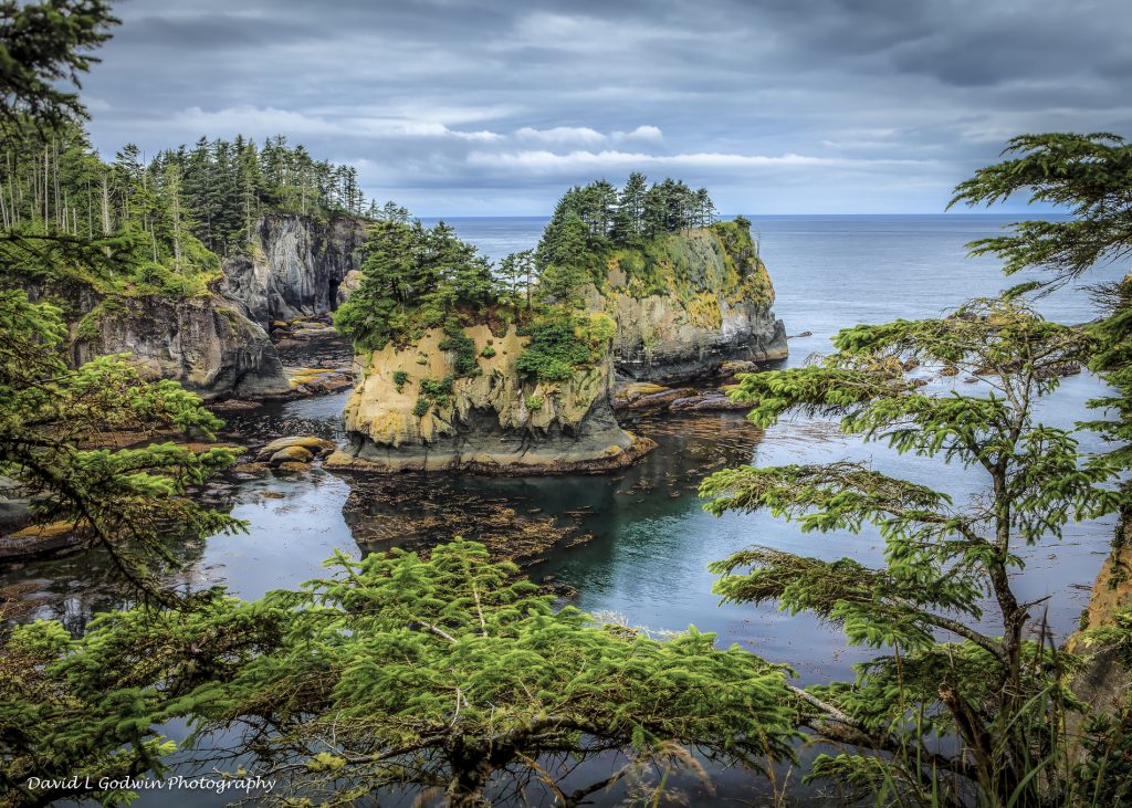 Cape Flattery - David L Godwin Photography